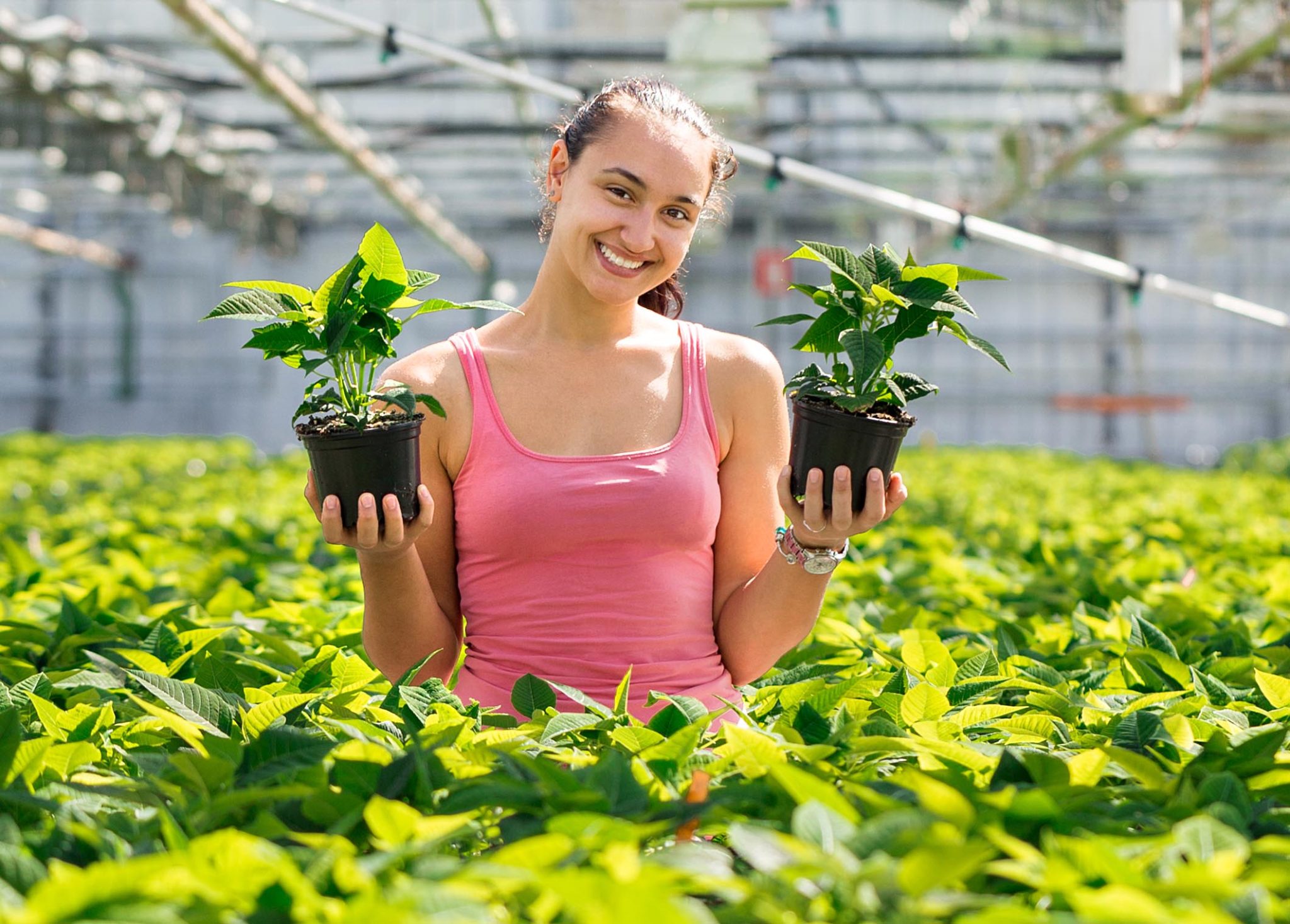 DENMARK HORTICULTURE - Bixter Academy Traineeship Programs