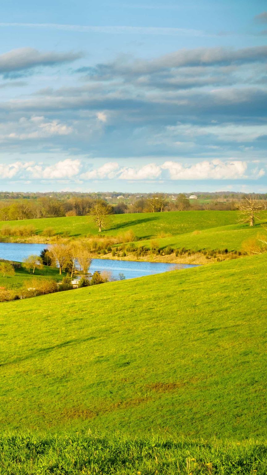 About Denmark - Bixter Academy Traineeship Programs