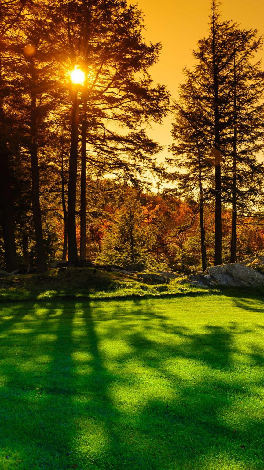 About Sweden - Bixter Academy Traineeship Programs